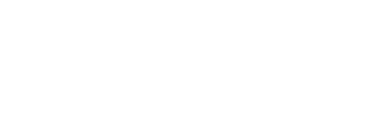 MOMO Competition Evo Steering Wheel - MOMO Steering Wheels